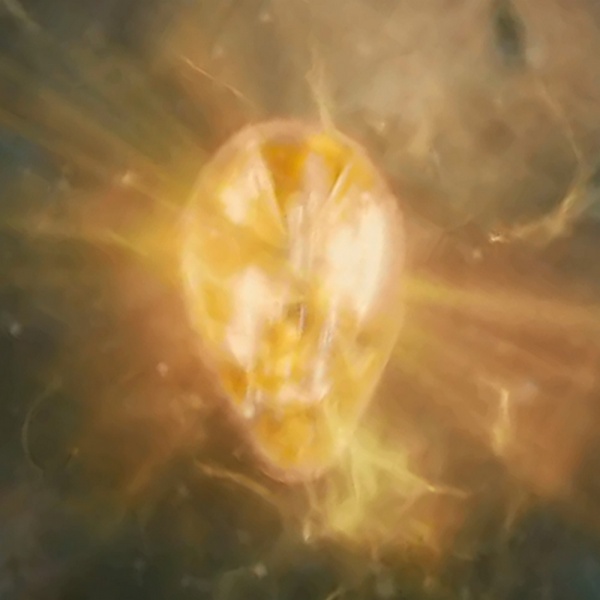 Pierres d'Infinité (Terre-199999) — Marvel-World.com